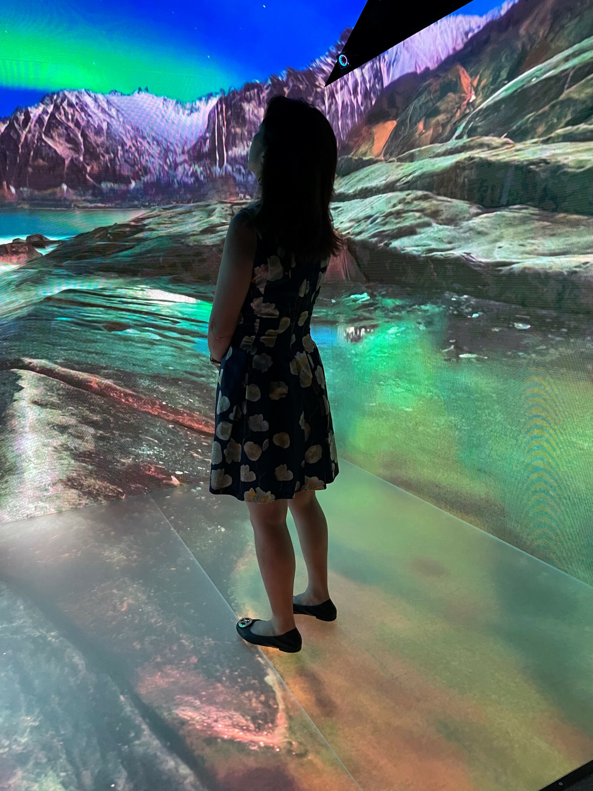 Past Event – [CPCE VR Lab Visit] Exploring the Virtual Reality (VR) for ...